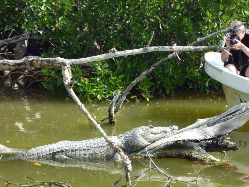 From Cancun: Kantemó Snake Cavern Adventure - Who Will Love This Tour?