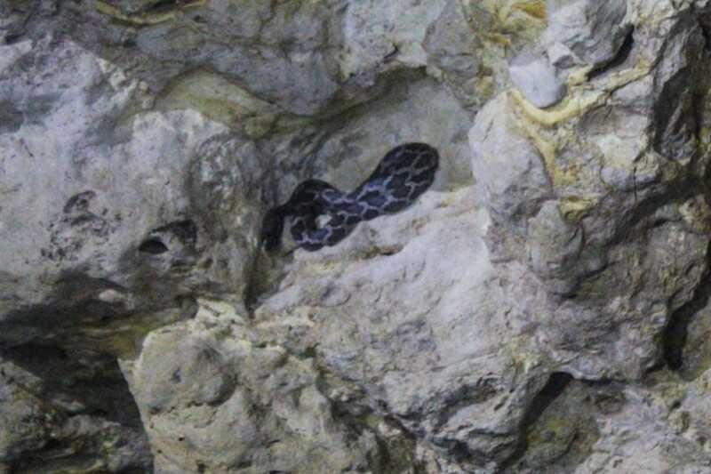 From Cancun: Kantemó Snake Cavern Adventure - Frequently Asked Questions (FAQs)