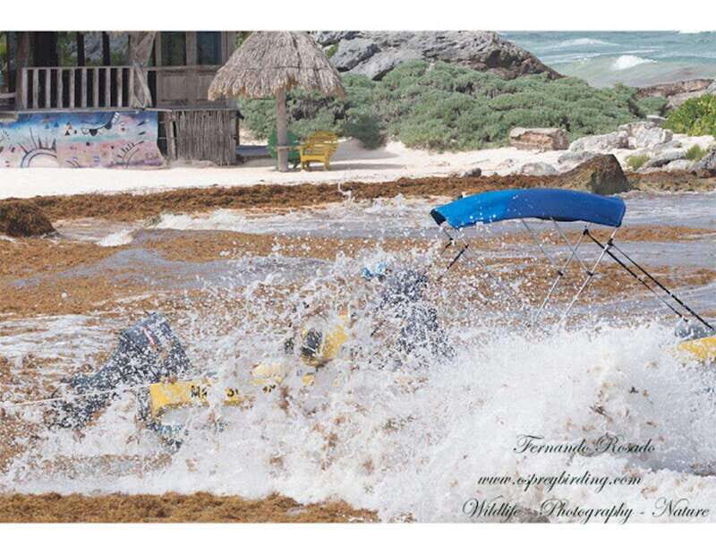 From Cancun: Lagoon k'an luum - FAQ