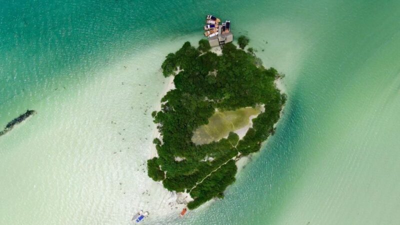 From Cancun or Puerto Morelos: Holbox Boat Tour with Lunch - Who Should Consider This Tour?  