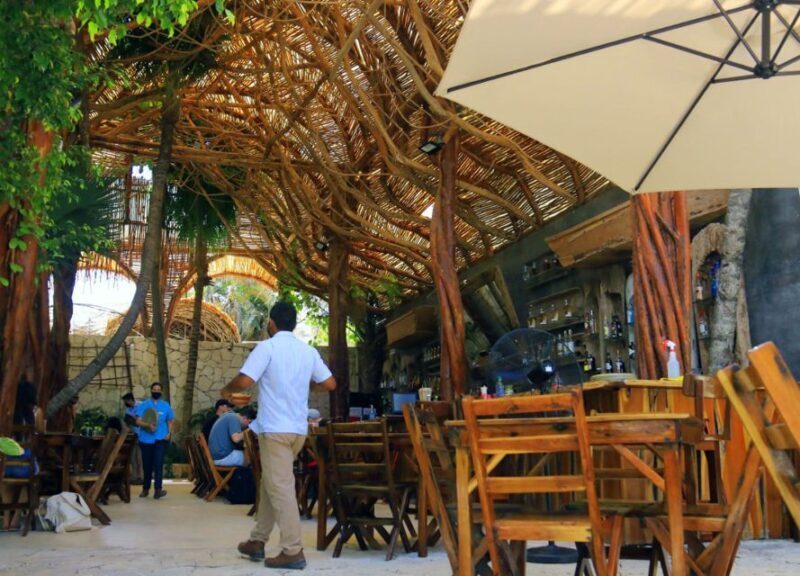 From Cancún: Puerto Morelos Guided Taco Tasting Tour - Practical Details and Considerations