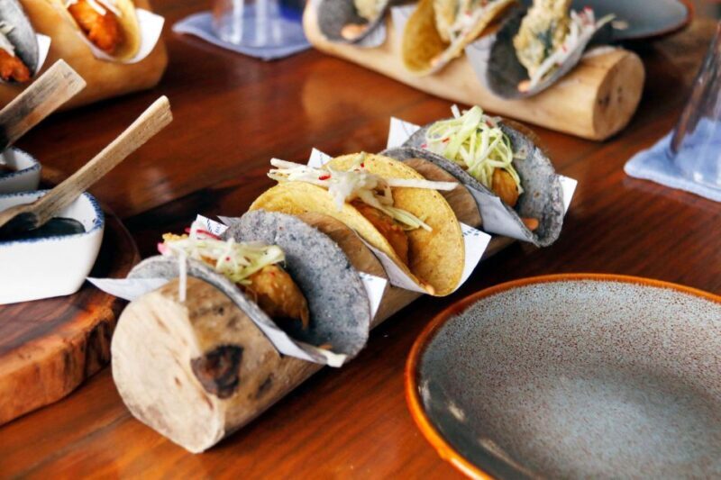 From Cancún: Puerto Morelos Guided Taco Tasting Tour - Who This Tour Is Best For