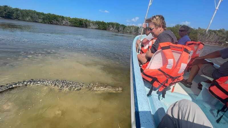 From Cancun: Rio Lagartos and Las Coloradas Day Trip - Final Summary