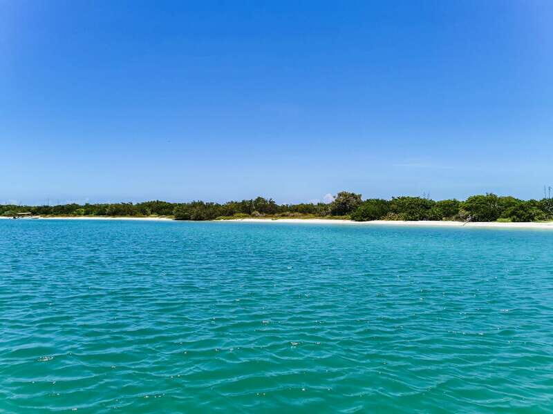 From Cancún: Rio Lagartos & Las Coloradas Day Trip & Lunch - Key Points