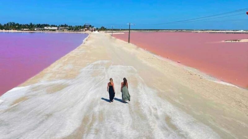 From Cancún: Rio Lagartos & Las Coloradas Day Trip & Lunch - The Full Breakdown: What to Expect on the Tour