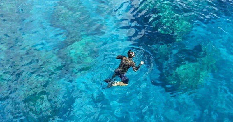 From Cancun: Snorkeling Cozumel The Heaven - Key Points