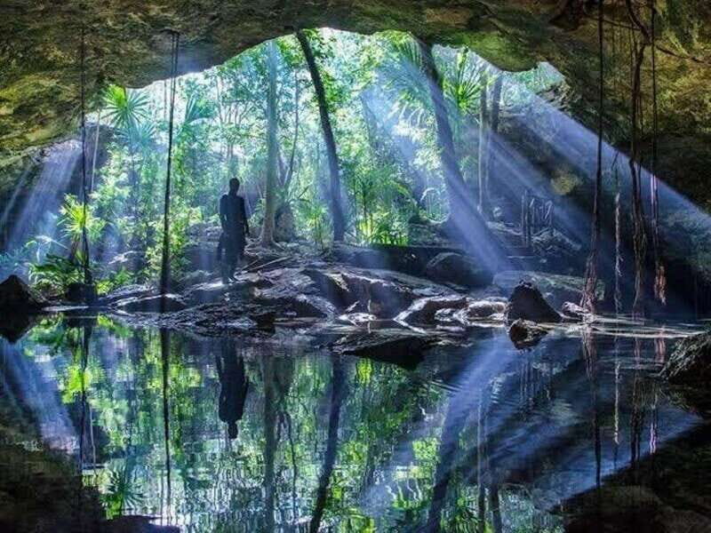 From Cancun: Taj Ma Ha Cenote Diving Experience - Key Points