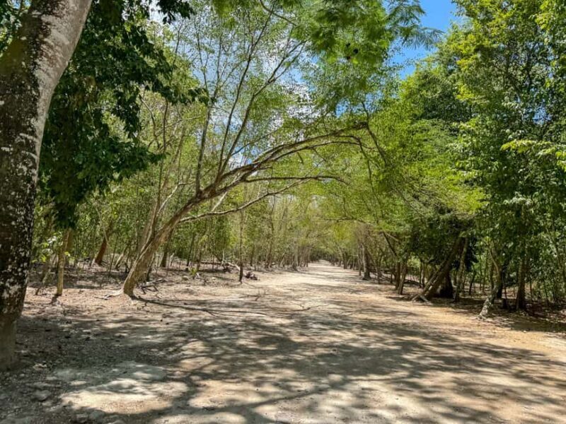 From Cancun: Tour to Tulum and Coba with cenote visit and lunch buffet - Who Is This Tour Best For?