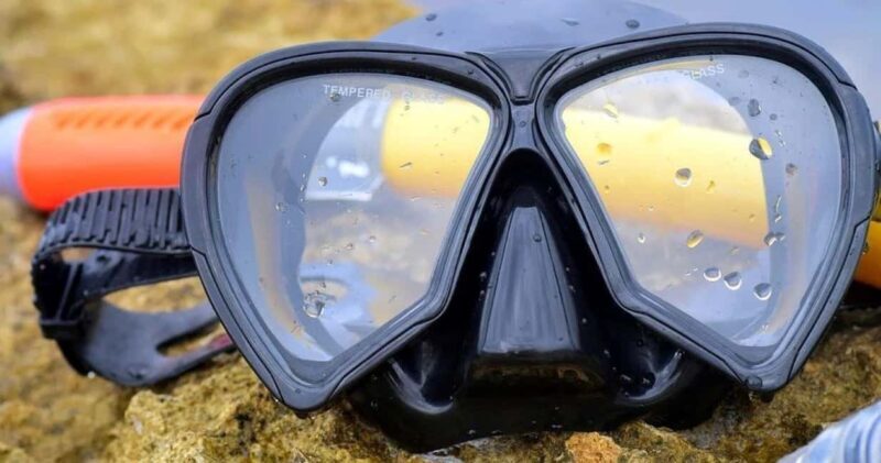 From Cancun: Whale Sharks Snorkeling - An In-Depth Look at the Whale Sharks Snorkeling Tour