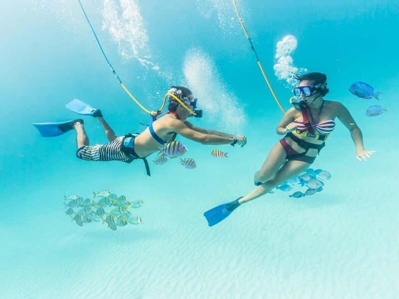 From Cancun: Xcaret Park All-Inclusive - Key Points