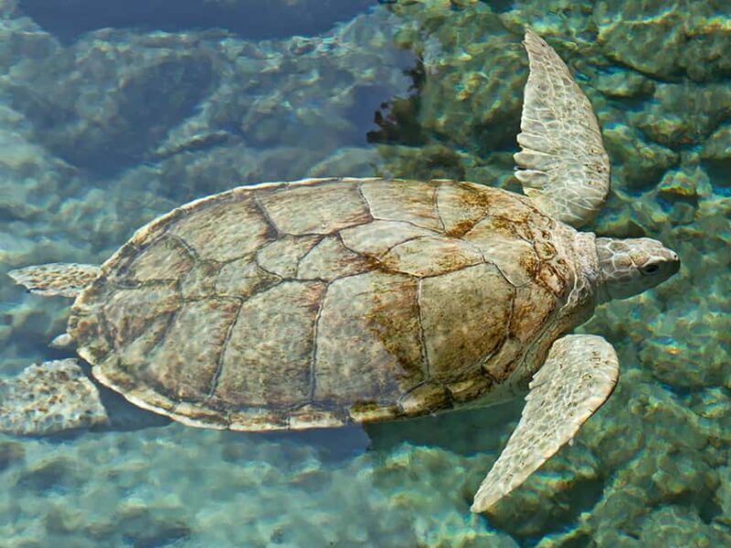 From Cancun: Xcaret Plus Park, the complete experience - Final Thoughts