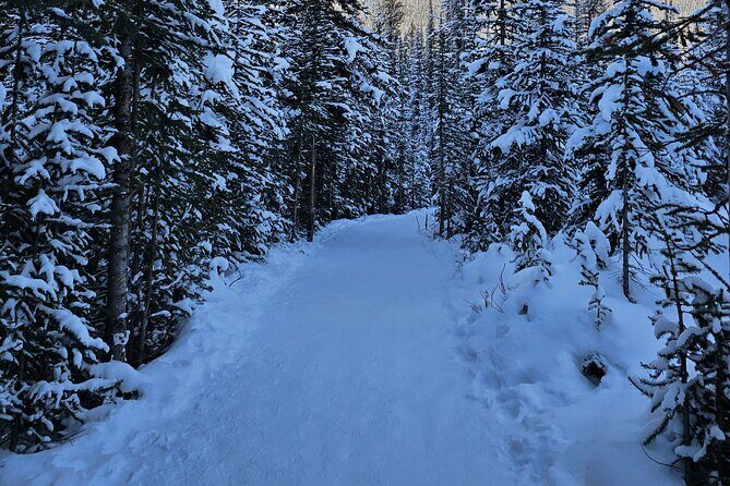 From Canmore/Banff: Columbia Icefield Skywalk Peyto Private Tour - The Sum Up