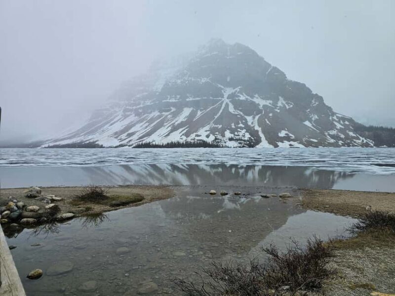 From Canmore/Banff: Icefields Parkway & Abraham Lake Bubbles - An In-Depth Look at the Tour Experience