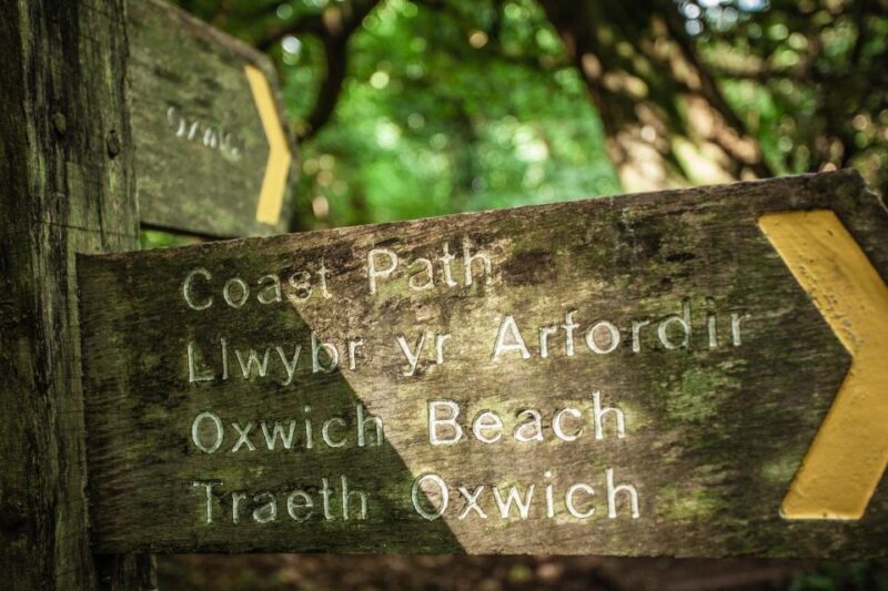 From Cardiff: Mumbles, Three Cliffs, Worms Head Gower Tour - A Deep Dive into the Gower Experience