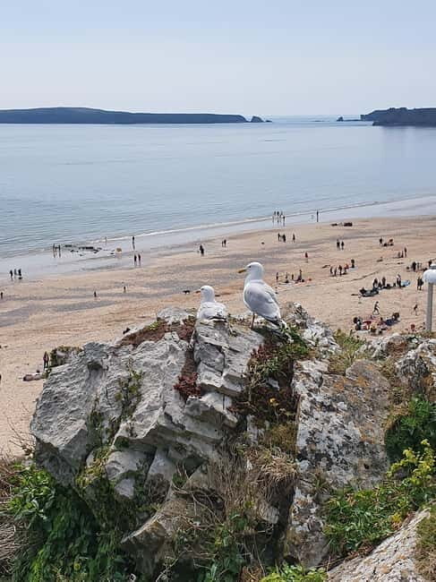 From Cardiff: The Wandering Bard's Mythical West Wales Tour - FAQs about The Wandering Bard’s Mythical West Wales Tour