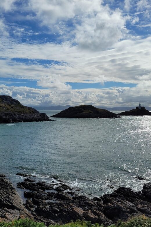 From Cardiff: The Wandering Bard's Swansea Bay Day Tour - Exploring Swansea Bay and Inland