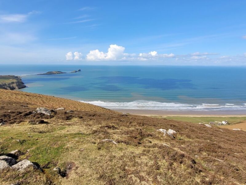 From Cardiff: The Wandering Bard's Swansea Bay Day Tour - Who Will Love This Tour?