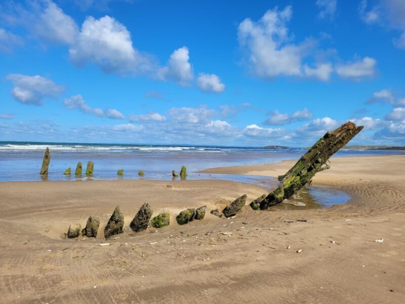 From Cardiff: The Wandering Bard's Swansea Bay Day Tour - Final Thoughts