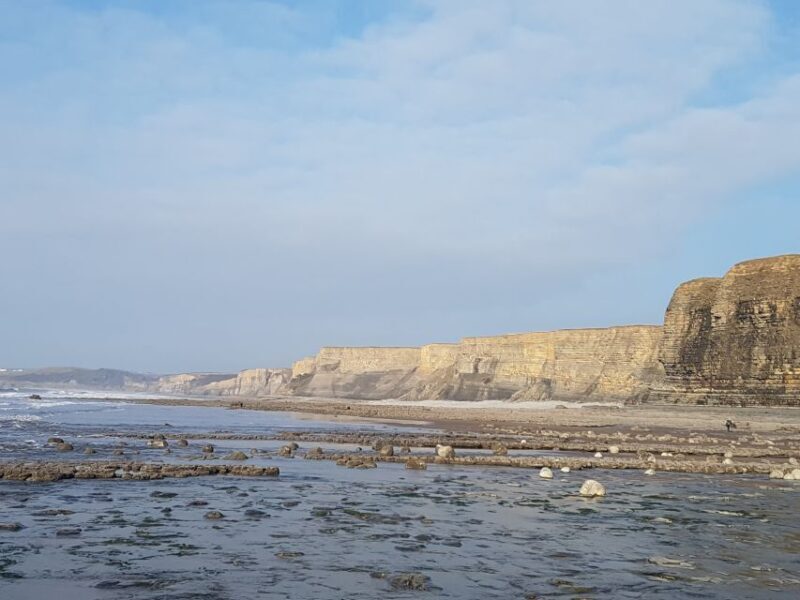 From Cardiff: Tour of Cardiff Bay and Vale of Glamorgan - Detailed Breakdown of the Itinerary