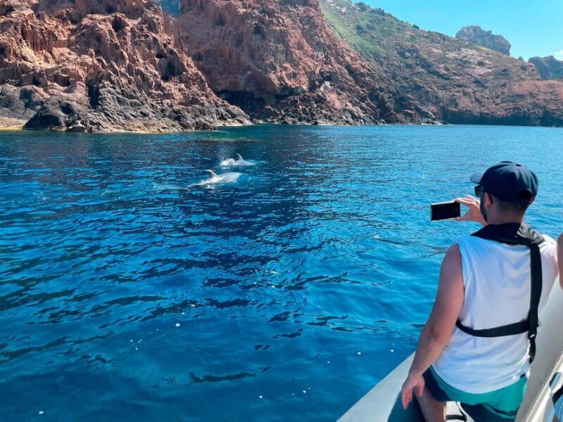 From Cargèse : The Calanques of Piana - The Value of This Experience