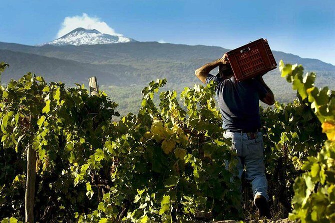 From Catania: Private and Guided Etna tour + Lunch at Etna Winery - Who Will Love This Tour?