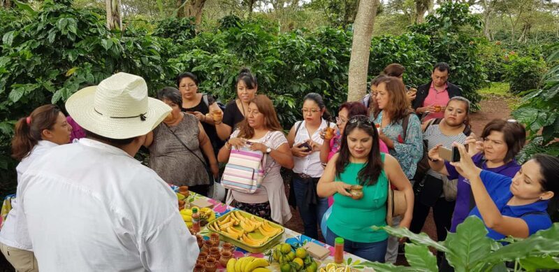 FROM CDMX: Puebla, Oaxaca, Veracruz, Chiapas, Campeche, Yucatan 13 DAYS - Discover the Essence of Mexico in 13 Days