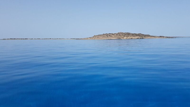 From Chania Area: Day Trip to Elafonisi Island by Bus - Price and Value