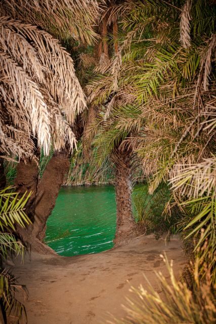 From Chania: Day Trip to Preveli Beach & Damnoni Beach - Who Would Love This Tour?