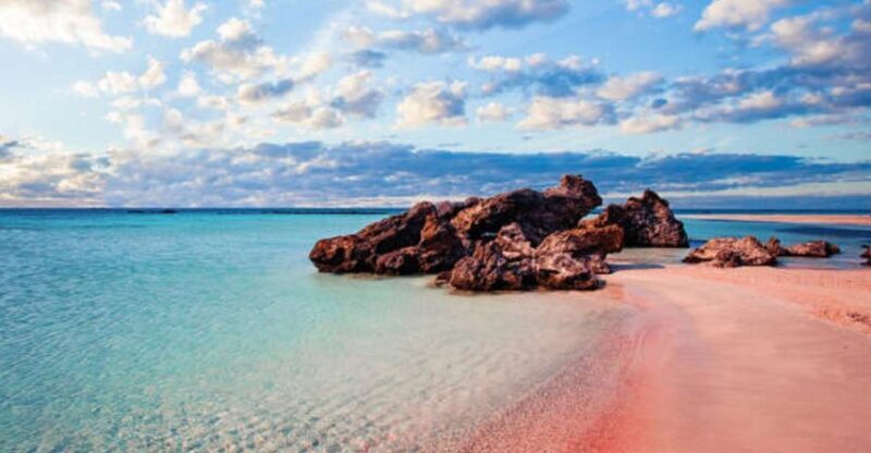 From Chania: Elafonisi Island Day Tour by Bus - Key Points