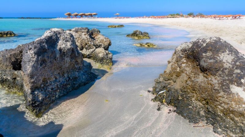 From Chania: Elafonisi Pink Sand Beach Day Trip w/ Elos Stop - Price and Value