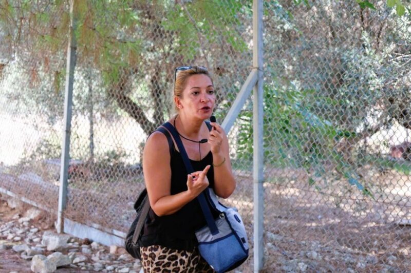 From Chania: Full-Day Heraklion Highlights Guided Tour - Who Is This Tour Best For?