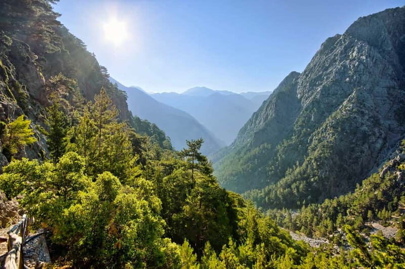 From Chania: Full-Day Samaria Gorge Trek Excursion & Guide - Final Thoughts: Who Should Consider This Tour?