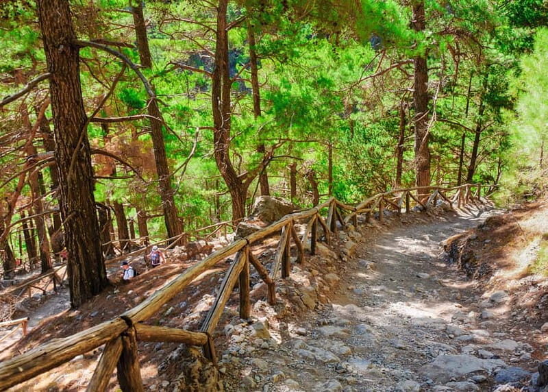 From Chania: Full-Day Samaria Gorge Trek Excursion & Guide - Final Words