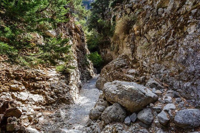 From Chania: Imbros Gorge and Sfakia Experience Hike & Swim - Key Points