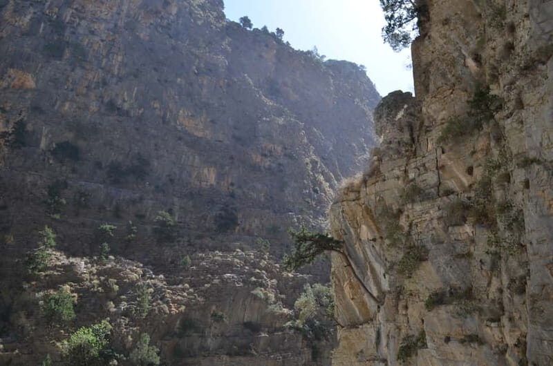 From Chania: Samaria Gorge Hike with Local Mountain Guide - What Makes This Tour Stand Out?