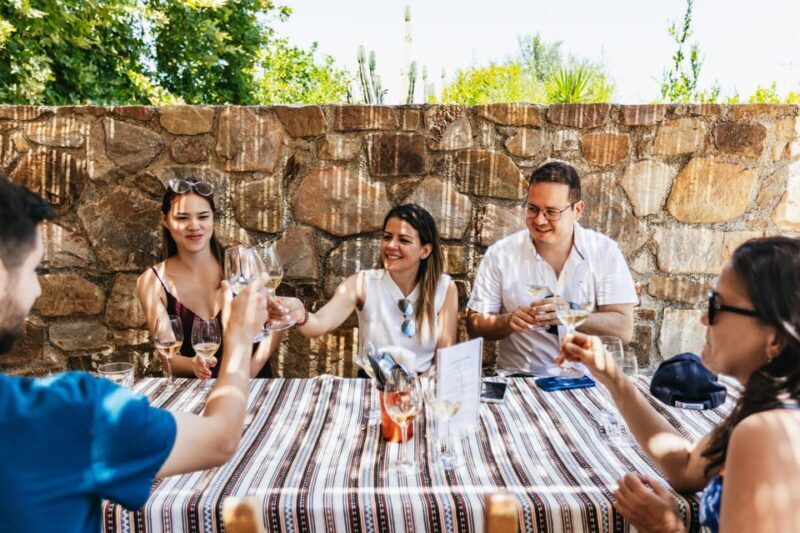 From Chania: Wine and Olive Oil Tasting Tour with Snacks - Key Points