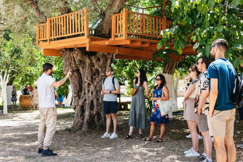 From Chania: Wine and Olive Oil Tasting Tour with Snacks - The Itinerary Breakdown