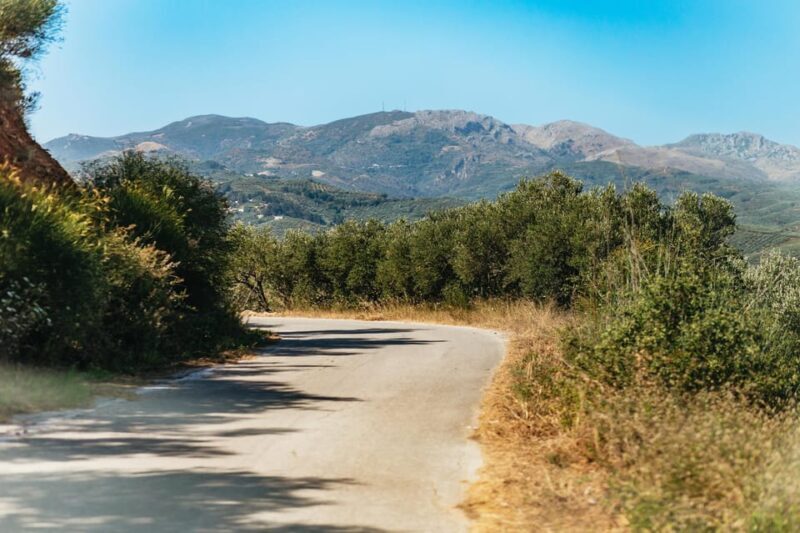 From Chania: Wine and Olive Oil Tasting Tour with Snacks - The Value for Money