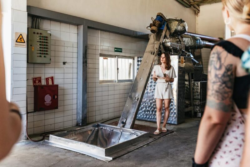 From Chania: Wine and Olive Oil Tasting Tour with Snacks - FAQ