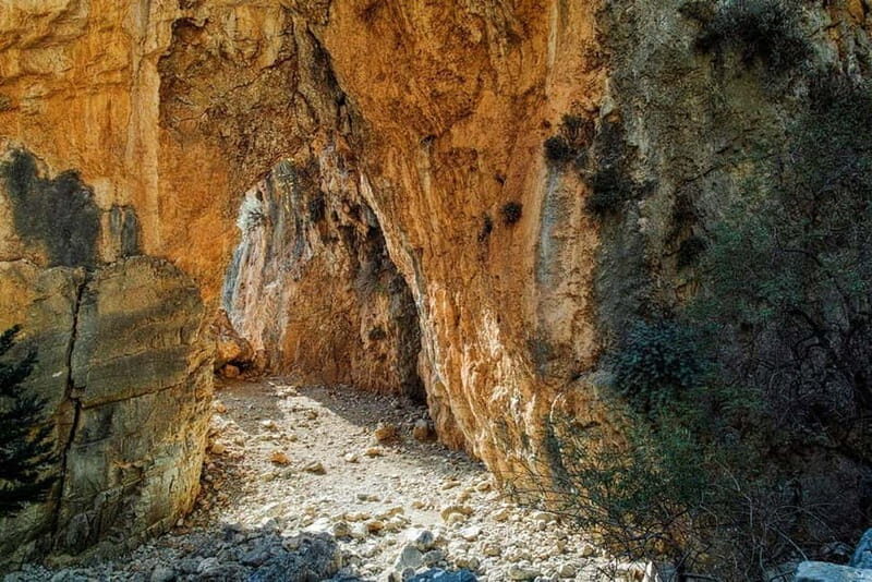 From Chania:Imbros Gorge Tour with Professional Hiking Guide - Key Points