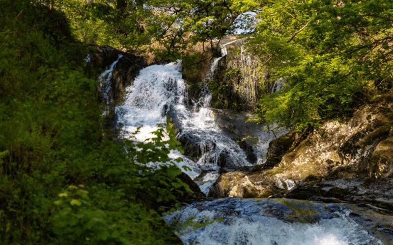 From Chester: North Wales and Caernarfon Castle Tour - Exploring North Wales in a Day