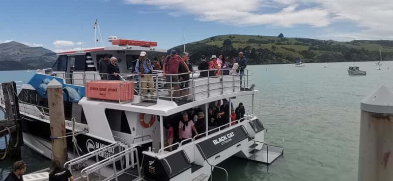 From Christchurch: Akaroa Day Tour with Optional Cruise - The Journey Begins: From Christchurch to Akaroa