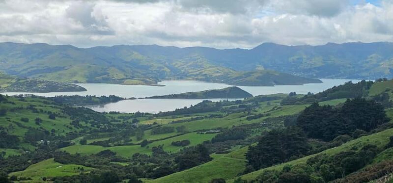 From Christchurch: Akaroa Day Tour with Optional Cruise - Overall Value and Who It’s Perfect For