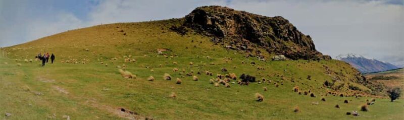 From Christchurch: Full-Day Lord of the Rings Tour to Edoras - Overall Experience