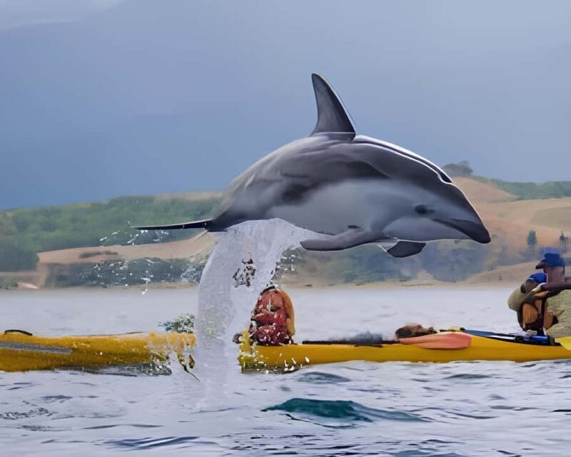 From Christchurch: Private Kaikoura Tour with Guide - From Christchurch: Private Kaikoura Tour with Guide