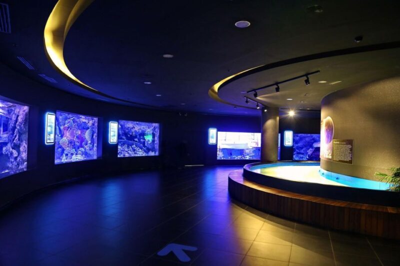 From city of Side: Antalya Aquarium Full-Day Trip - Key Points