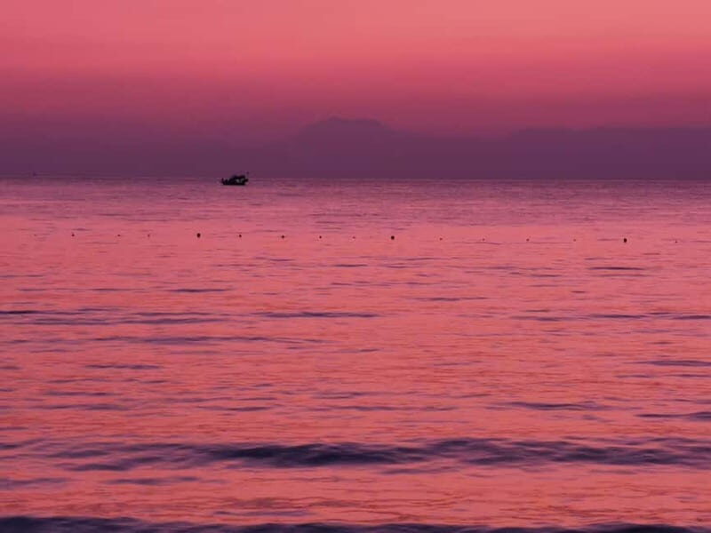 From city of Side: Dolphin Watching Boat Tour with Lunch - Key Points