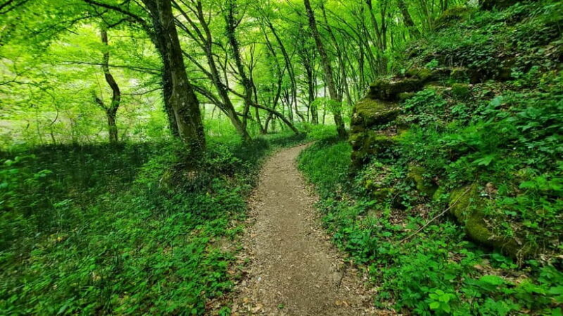 From Cluj: Gorges of Crisul Repede River - Authentic Feedback from Guests