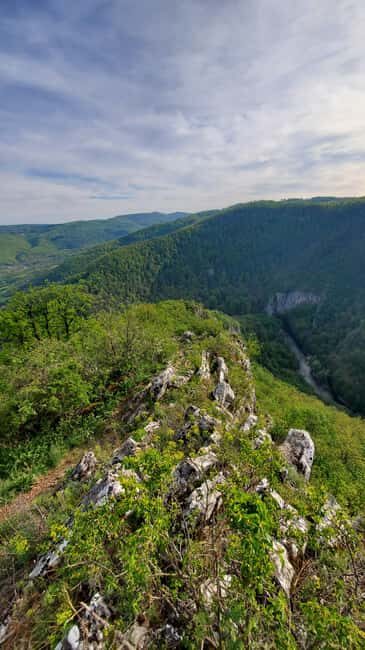 From Cluj: Gorges of Crisul Repede River - The Sum Up: Who Will Love This Tour?