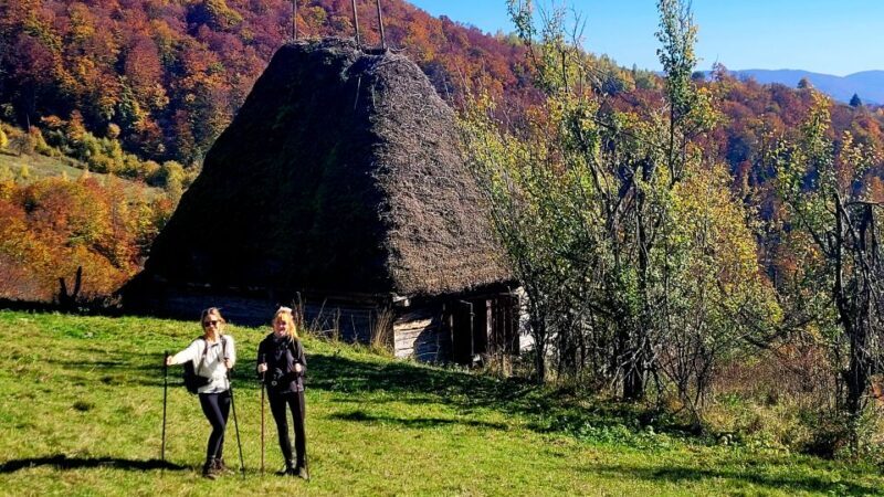 From Cluj-Napoca: Apuseni Mountains Hiking Guided Day Tour - Exploring the Itinerary in Detail  